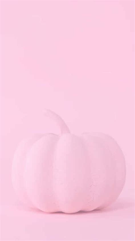 100 Rosa Pumpa Wallpaper