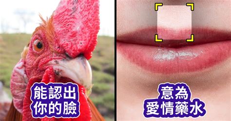 一個女孩問，「你知道的最有趣的小事是什麼？」這裡有 13 個你可能還沒有準備好聽到的事實 亮生活 Daleba