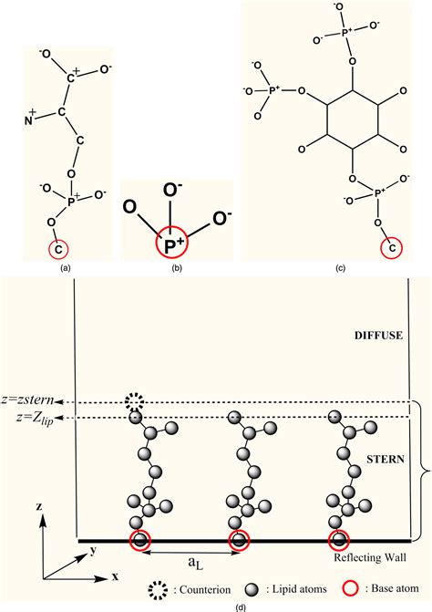Separation Of The Stern And Diffuse Layer In Coarse Grained Models The