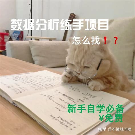 数据分析练手项目📊含数据和code的自学宝藏 知乎