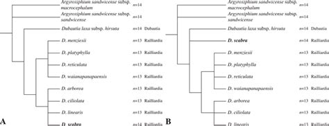 Constraint Trees Used For Tests Of Phylogenetic Topology Chromosome