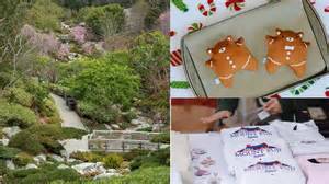 Balboa Parks Japanese Garden Welcomes Back Holiday Market