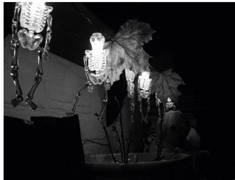 ۞۩boo۩۞۩  On Imgur