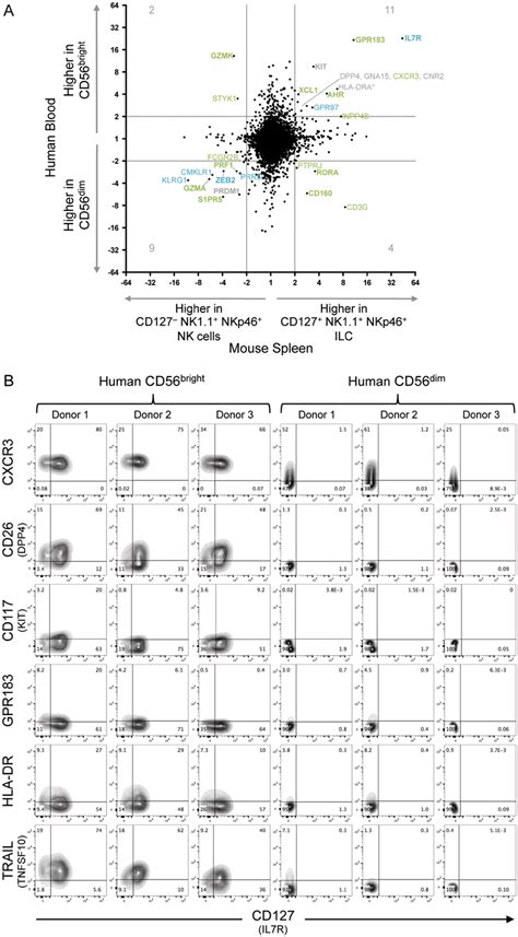 Expression Differences Between Mouse Splenic Cd127 Nk11 Nkp46