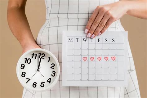 Can You Get Pregnant Without Ovulating Fertility Facts All Inclusive