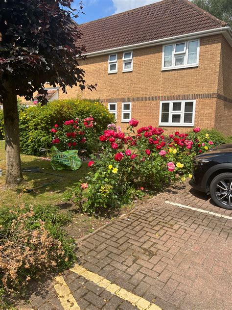 Pjjs Management Services Posted On Linkedin