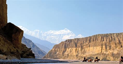 Mustang Trekking Bright Way