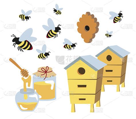 一套蜜蜂蜂蜜玻璃罐和各种蜂箱一勺蜂蜜养蜂养蜂设备卡通对象孤立在一个白色背景股票矢量插图