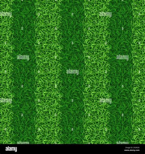 Striped Green Grass Field Seamless Vector Stock Vector Image And Art Alamy