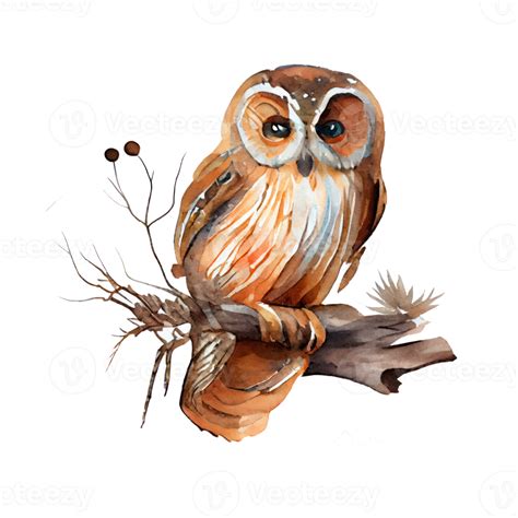 Vintage Watercolor Owl Ai Generated 22805633 Png