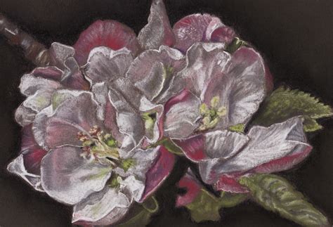 Janette Fox Marlborough Artists Society