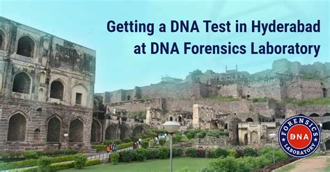 Dna Test Cost In Hyderabad Competitive And Accurate Testing