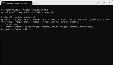 Python 313 For Pc Windows Download