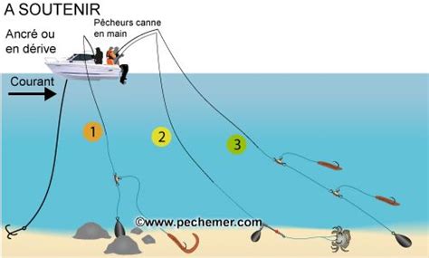 Les 70 meilleures images du tableau surfcasting sur Pinterest Pêche
