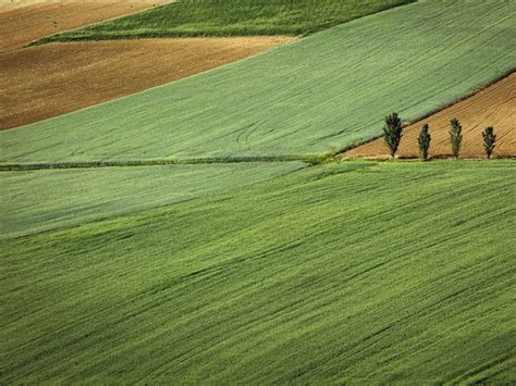 Mere Za Površinu Zemljišta Hektar Ari Metar Kvadratni Jutro Lanac Dulum Sadnja