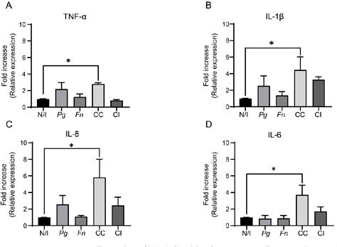 Figure 2 From Co Culture Of P Gingivalis And F Nucleatum