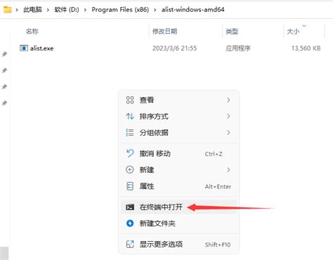Alist搭建网盘挂载硬盘并挂载网络资源傻瓜式自配置教程