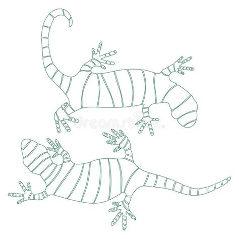 Set Of Lizards Reptile Gecko Outline Vector Illustration Simple Line