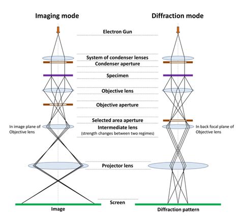 Nanofase Tem Transmission Electron Microscopy