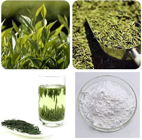 China Green Tea Extract L Theanine Manufacturers Suppliers Factory