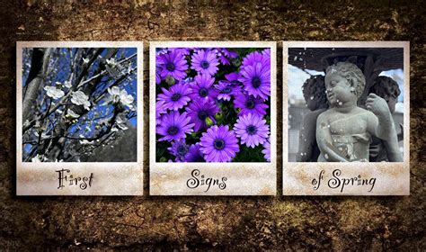 Map First Signs Of Spring