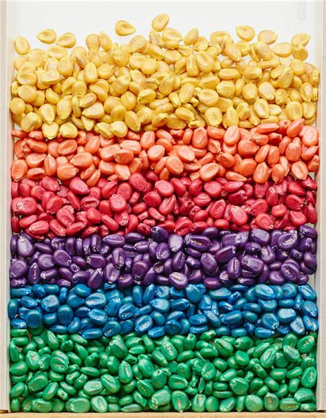 Clariant To Show Seed Colorants At Crops And Chemicals Usa 2016