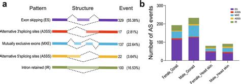 Comparison Of Alternative Splicing Modes On The Duck Z Chromosome A