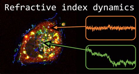 Improving Specificity And Axial Spatial Resolution Of Refractive Index Imaging By Exploiting
