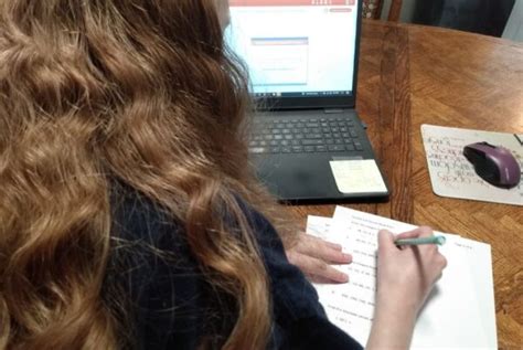 Mr D Math Self Paced Algebra 1 Review