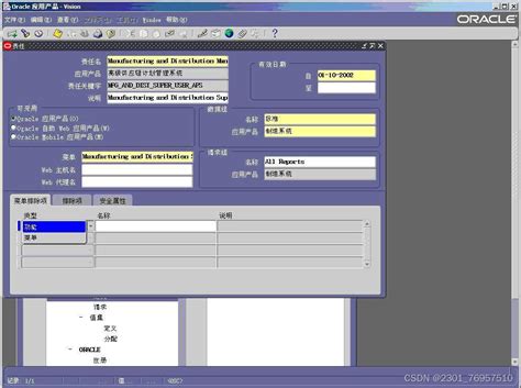 oracle ebs 基础设置要点简介（1） oracle ebs系统 csdn博客