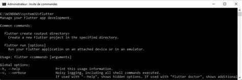Comment Installer Flutter Sous Windows Apcpedagogie