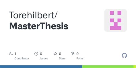 GitHub Torehilbert MasterThesis