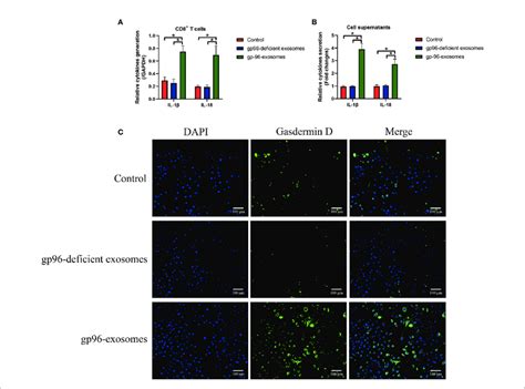 The Exosomal Gp96 Triggered Cell Pyroptosis In Cd8 T Cells A