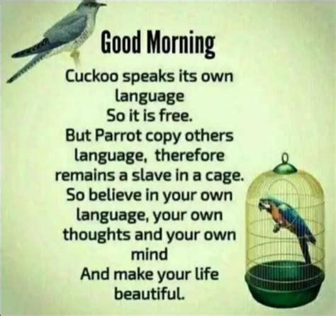 Ranjan Varghese Mathew