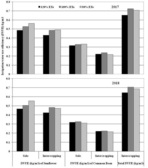 Effect Of Irrigation Regimes Intercropping Systems And Their Download Scientific Diagram