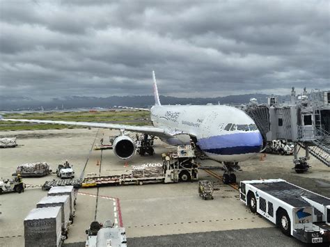 Ci157kix→tpe Y→c 週末ごとの旅行者