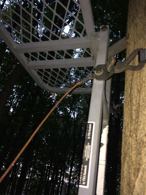 DNR Urges Tree Stand Safety After Hunter Falls Nearly Feet