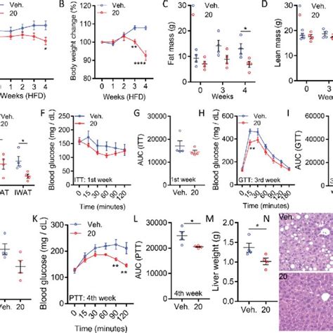 Treatment Of Dio Mice With 20 Reduced Body Fat And Restored Insulin