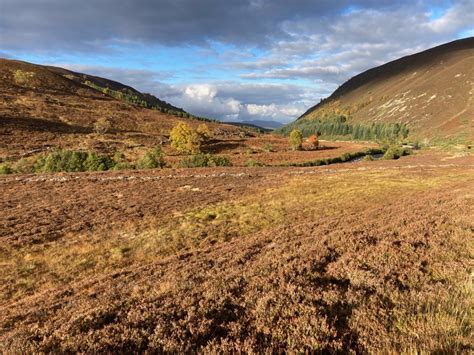 Gaick Pass Highland Holiday Cottages