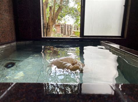 京都の秘境地水尾で大人の遠足「ゆずの里 直八」の柚子風呂＆水炊きコース！ グッチジャパンの京都最新グルメ