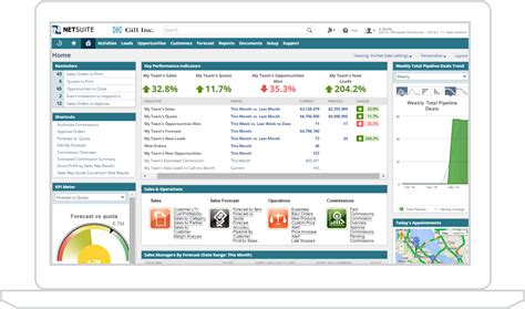 Financial Software Financial Management Software Financial Management System Netsuite