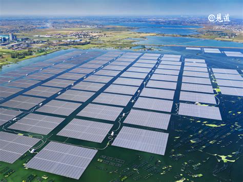 新能源汽车崛起：中国颠覆性创新满足全球绿色出行需求 见道网