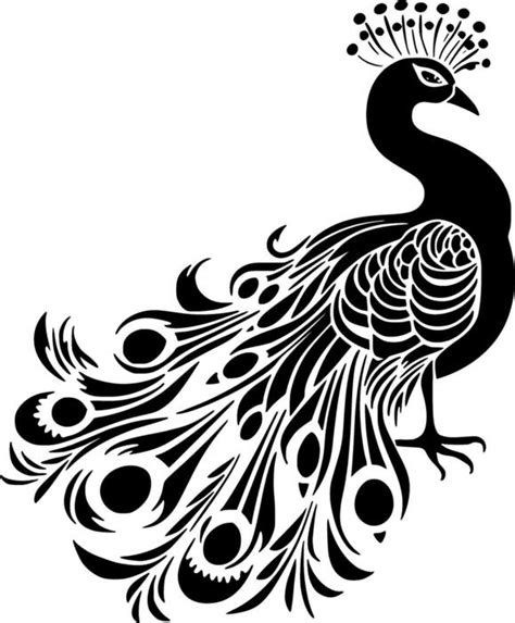 Peacock Print Vector Art Icons And Graphics For Free Download