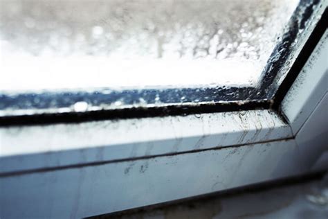 5 Ways To Prevent Home Flooding In The Rainy Season