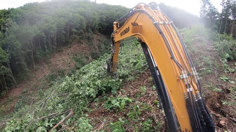 벌목장비 산떨이 장비 산판장비 영상 Youtube