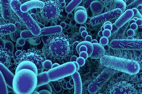 48500 Year Old Infectious ‘zombie Virus Buried In Ice Revived By