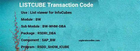 LISTCUBE SAP Tcode For List Viewer For InfoCubes