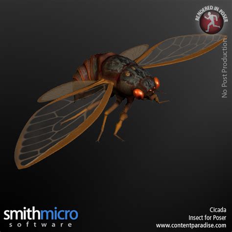 Cicada Legacy Discounted Content Poser Software