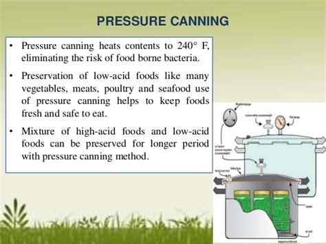 Canning Process