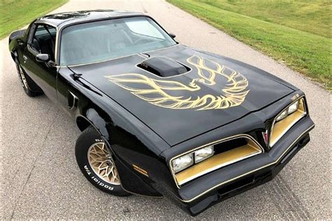 Bandit Style 1977 Pontiac Firebird Trans Am Se Coupe Pontiac Firebird
